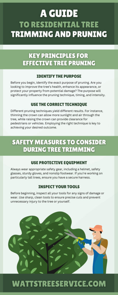 A Guide to Residential Tree Trimming and Pruning
