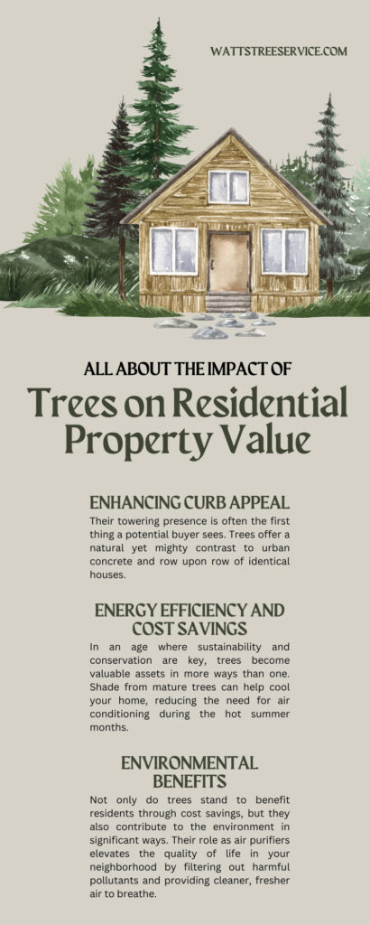 All About the Impact of Trees on Residential Property Value