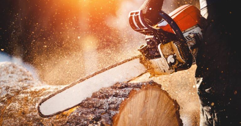 The History of Arboriculture: Evolution and Milestones