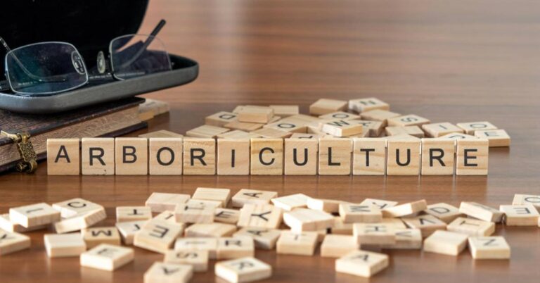 The History of Arboriculture: Evolution and Milestones